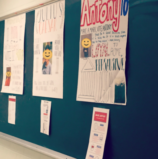 Julius Caesar Campaign Final Project - Teaching Sam and Scout